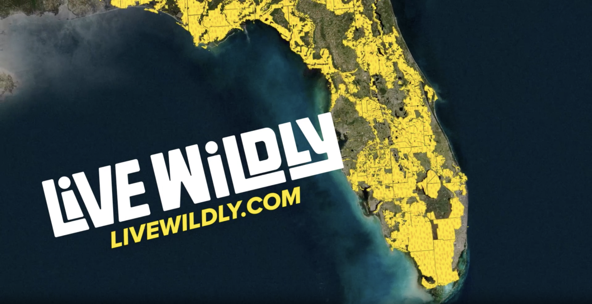 Winner Spotlight: Florida Wildlife Corridor Live Wildly Campaign by ...